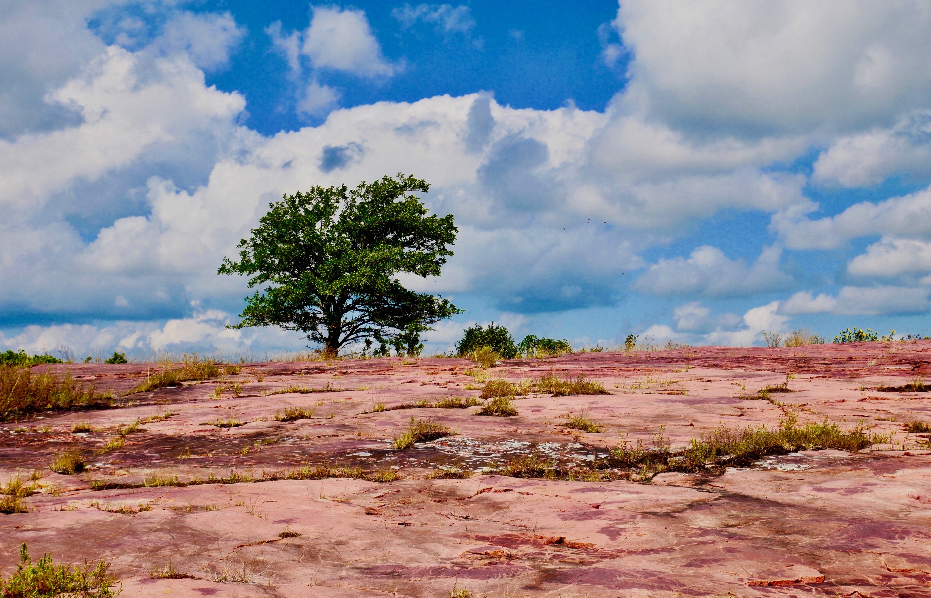 Jeffers Petroglyphs - North Star Story Map